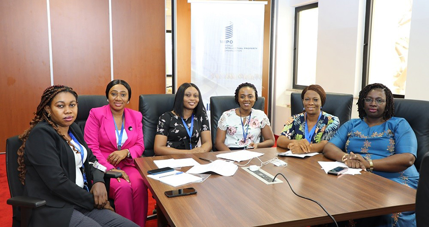 WIPO Organizes Training on the Development of TISCs in Nigeria