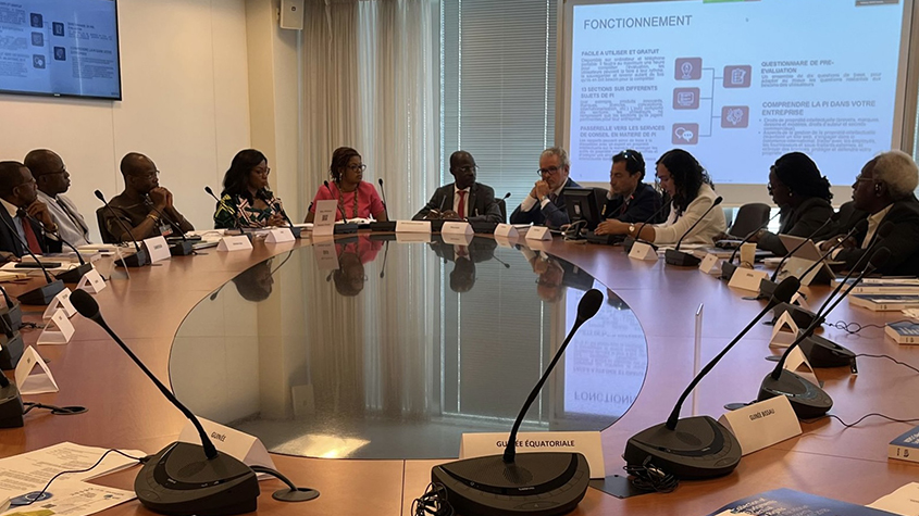 Unveiling WIPO's Latest Customized Resources for OAPI Member States: IP ...