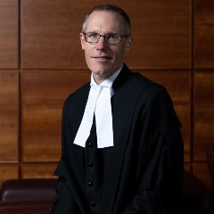 WIPO Webinar for Judges on September 1, 2020: Tailoring Injunctions to ...