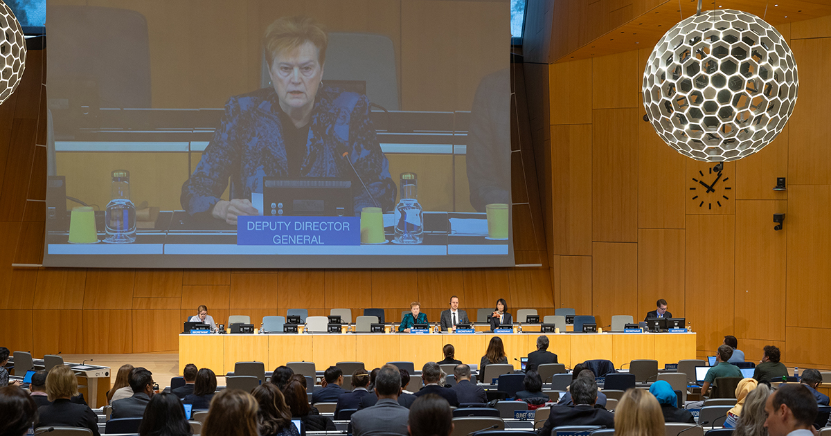 Member States and IDAs discussed current practices and future ...