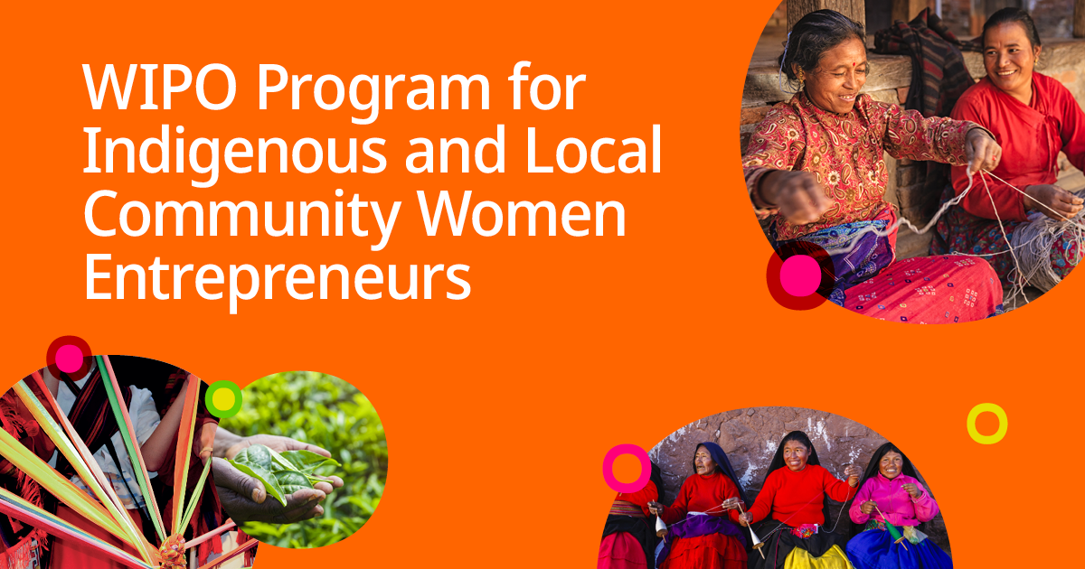 Call for applications: WIPO Training, Mentoring and Matchmaking Program ...