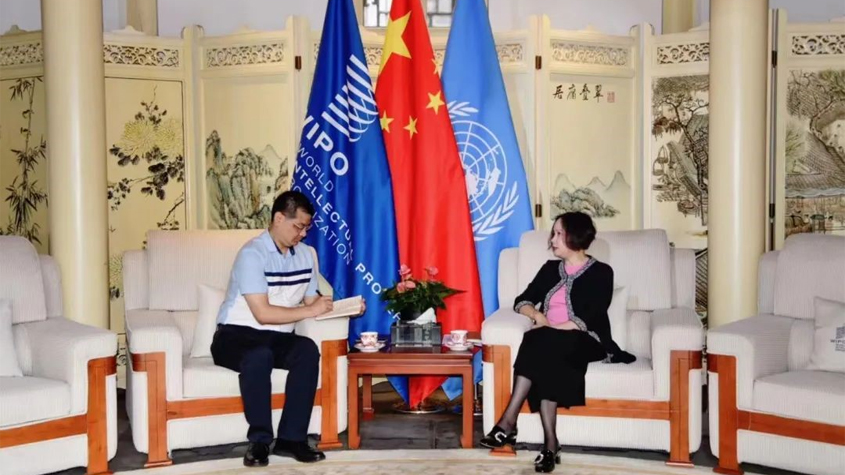 Chinese SMEs Emerge Victorious in the First-Ever WIPO Global Awards