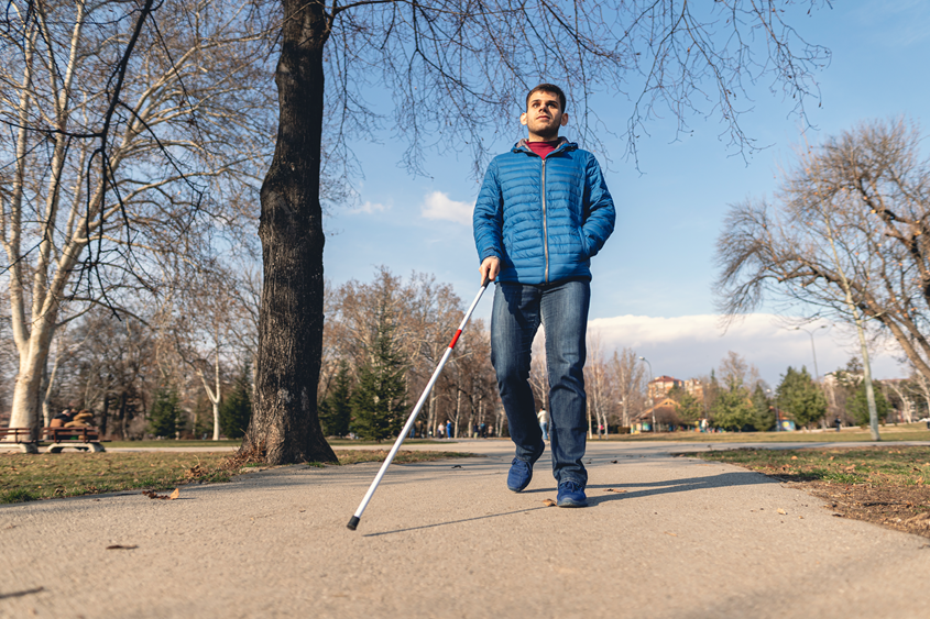 The Accessible Books Consortium is now accepting Fellowship applications!