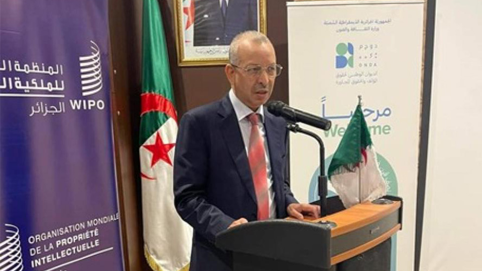 Managing literary and artistic works in the digital age