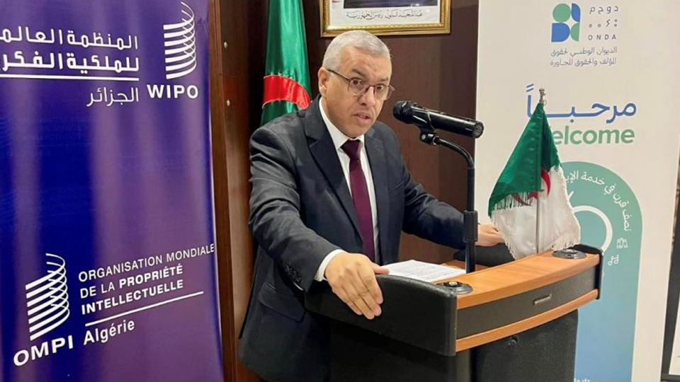 Managing literary and artistic works in the digital age