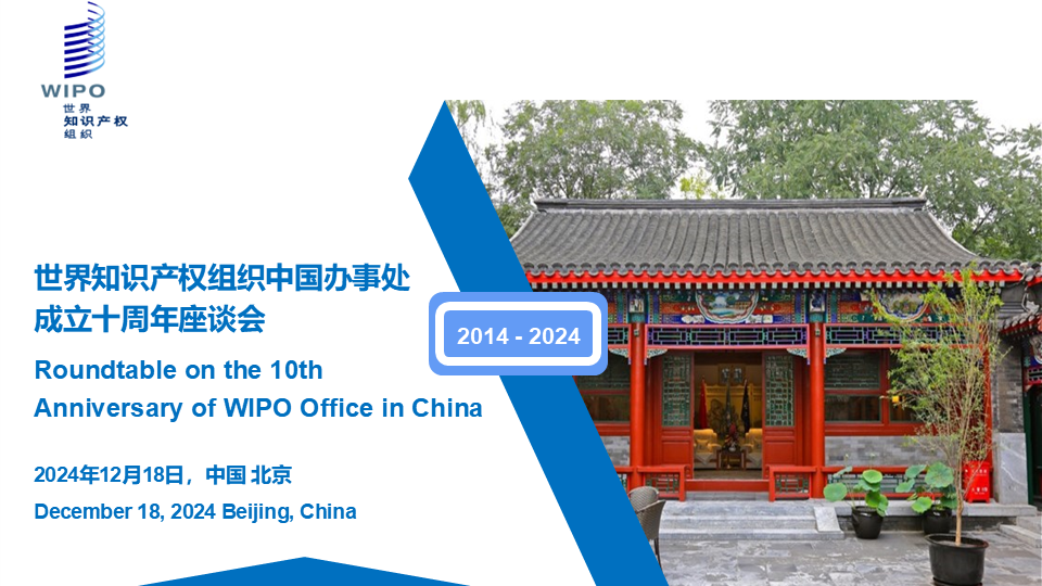 WIPO China: A Decade of Achievement, Charting New Horizons - Roundtable ...