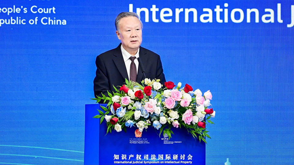 WIPO China: ADG Marco Alemán Highlights Global Challenges on IP ...