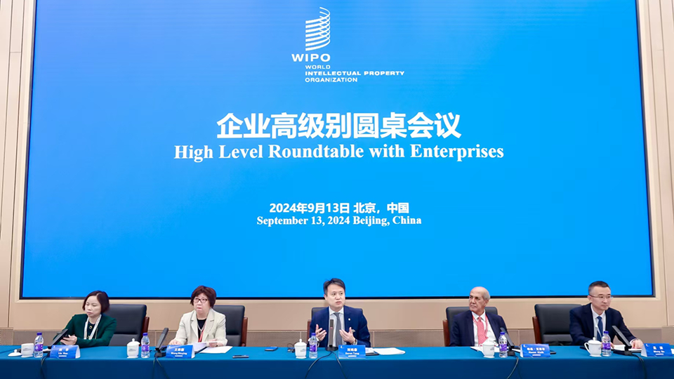 WIPO China: WIPO Hosts High-Level Roundtable with Enterprises in ...
