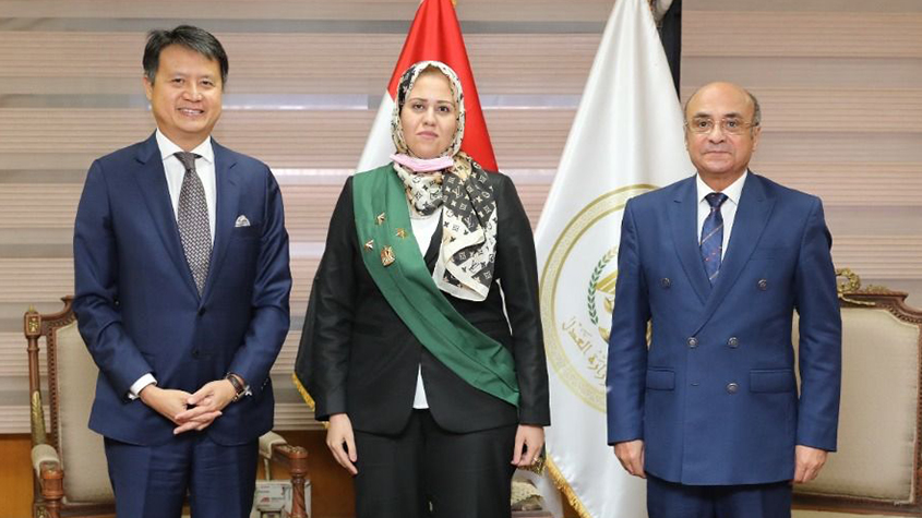 WIPO’s First Training for Members of the Judiciary in Egypt