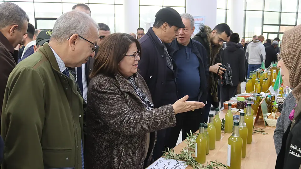 Launch of the Khenchela olive oil promotion project: fostering ...