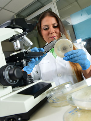 BioTech: Revolutionizing Agriculture with Sustainable Biocontrol ...