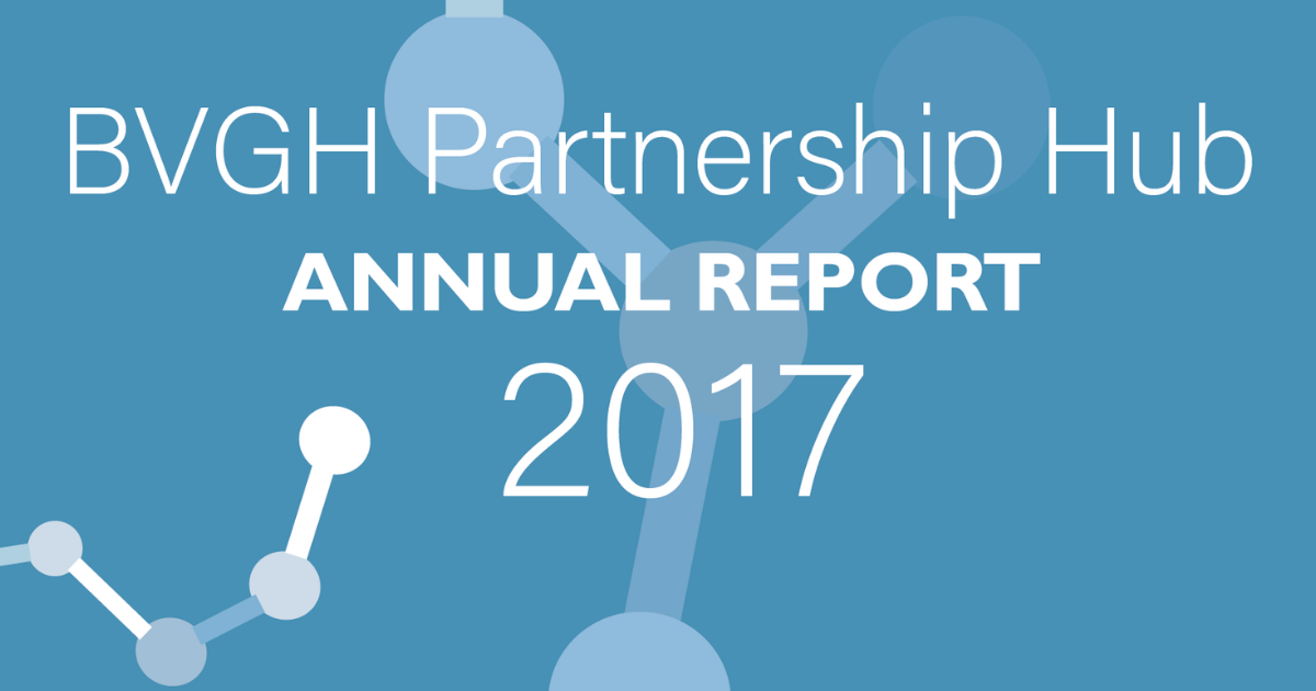 BVGH Partnership Hub Report - Annual Report 2017