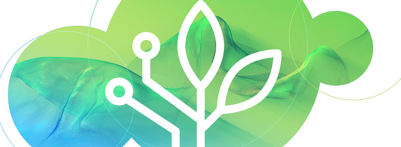 International Conference on Intellectual Property and Development