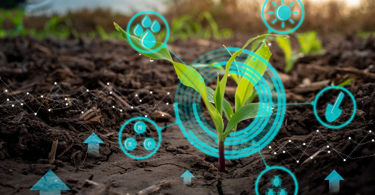 Four Green Tech Ideas to Save Our Soils