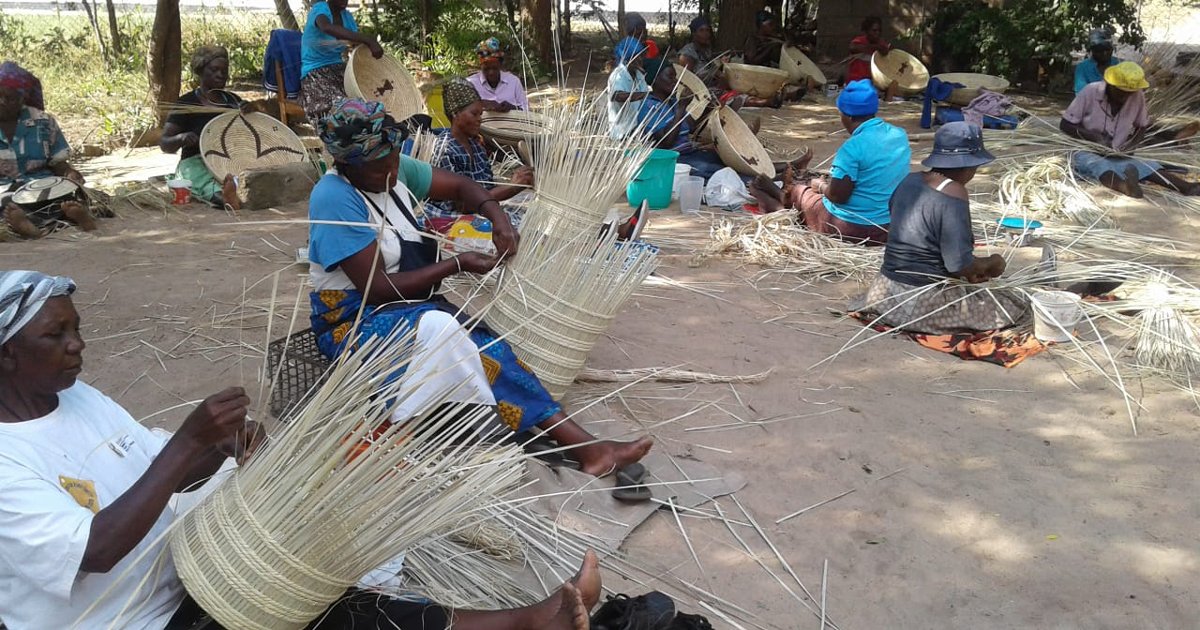 Unlocking IP Insights: Lupane Women's Development Trust Director ...