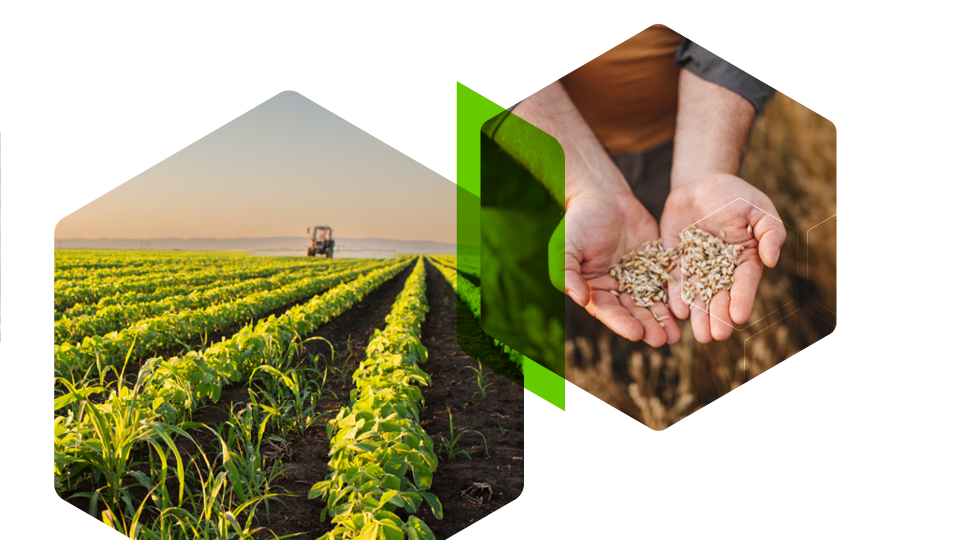 Green Technology Book: Energy Solutions for Climate Change